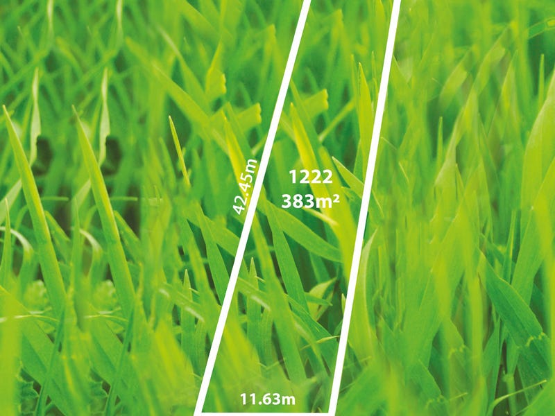 9A Ormsby Street, Windsor Gardens, SA 5087 - realestate.com.au