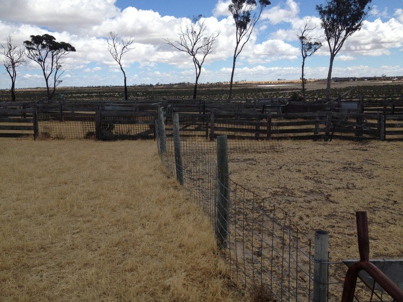 872 Pingrup-Lake Grace Road, Pingrup, WA 6343 - Property Details