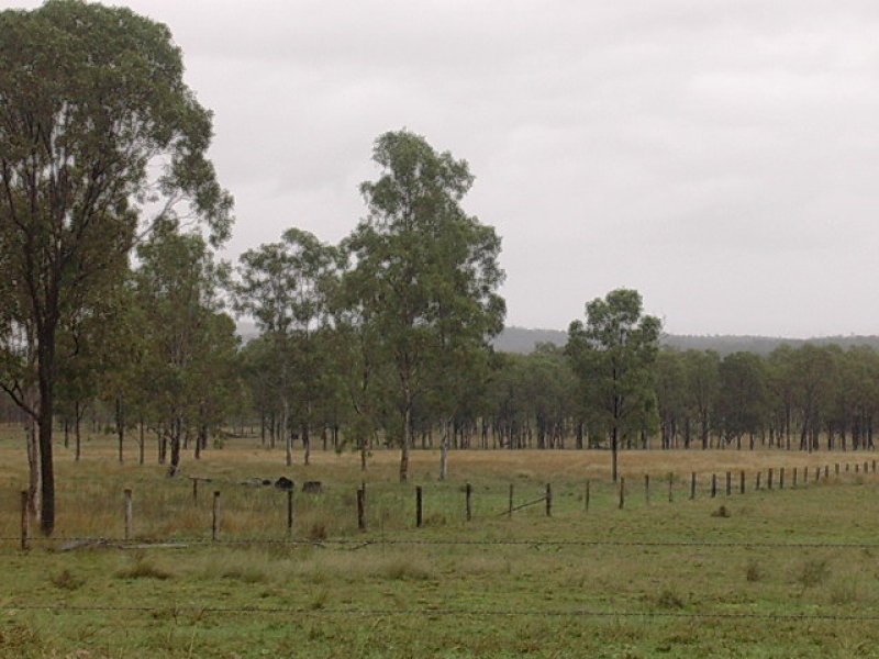 54 BYRNESTOWN -WETHERON ROAD, Gayndah, Qld 4625 - Property Details