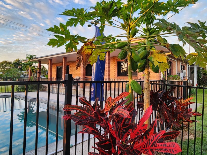 19 Victoria Street, Cardwell, Qld 4849 - House for Sale - realestate.com.au