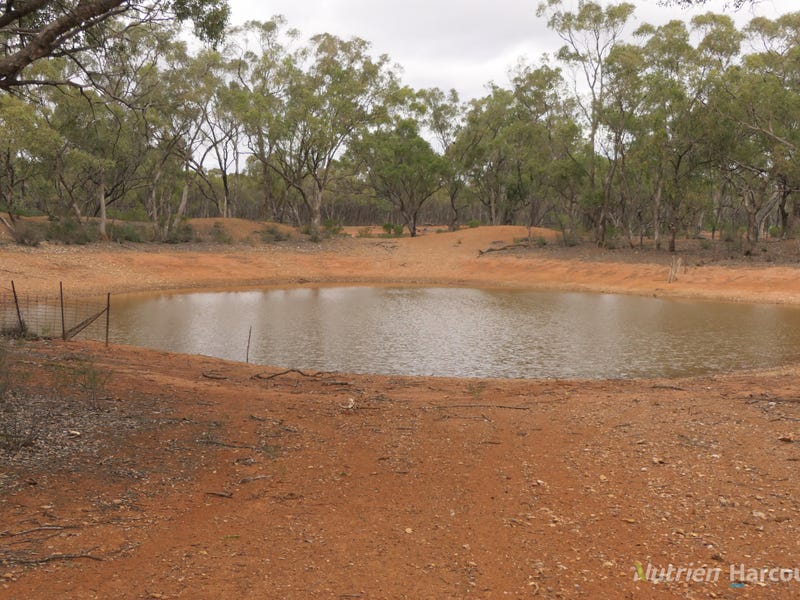 * YARRANVALE, Nymagee, NSW 2831 - Other for Sale - realestate.com.au