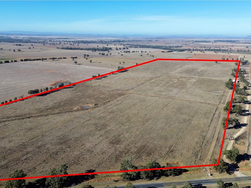Red Bend Road, Forbes, NSW 2871 - Other for Sale - realestate.com.au