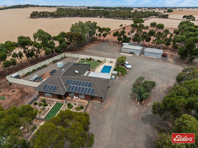 427 Stott Road, Roseworthy, SA 5371 - Property Details