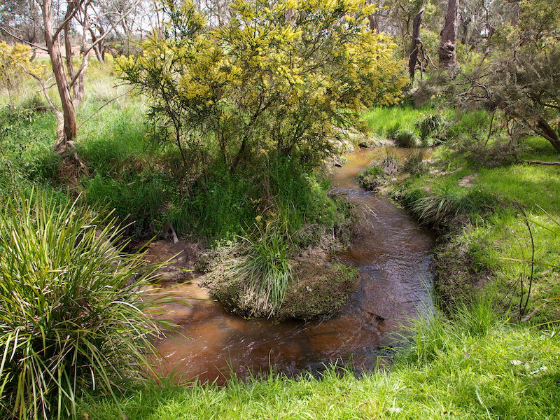 113 Spring Creek Road, Strathbogie, Vic 3666 - Property Details
