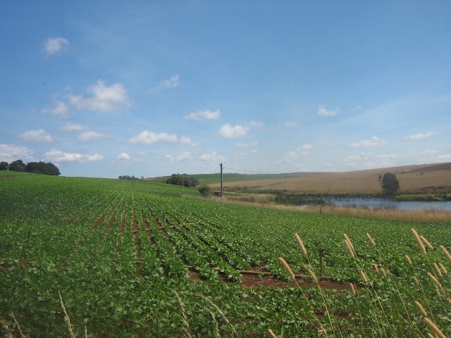 - Cutts Road, Don, Tas 7310 - Property Details