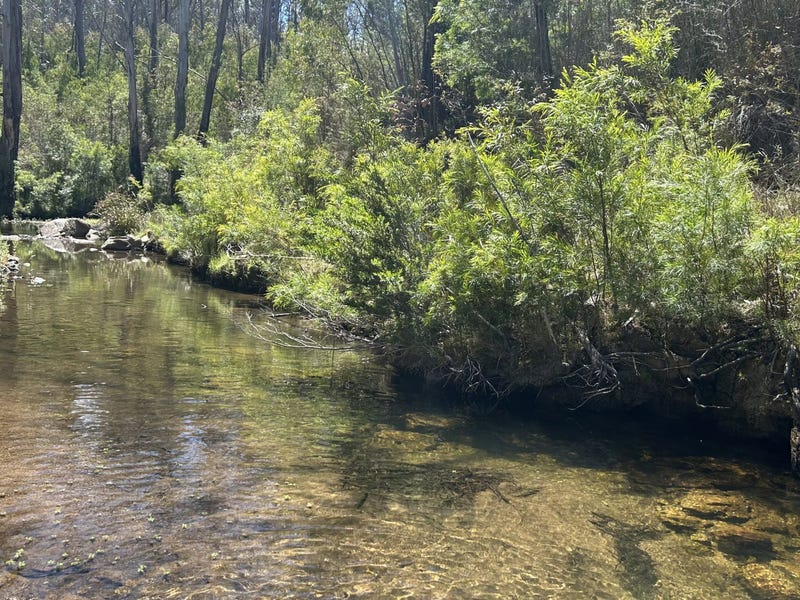 Real Estate & Property for Sale in Wyndham, NSW 2550 - realestate.com.au