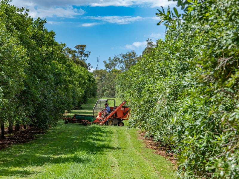 264 Williams Road, Benarkin North, QLD 4314 - realestate.com.au