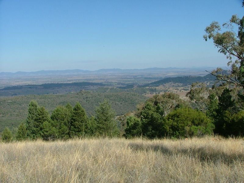 419 Attunga Forest Road, Attunga, NSW 2345 - realestate.com.au