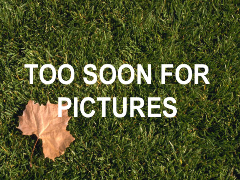 26 Valentine Street, Rye, VIC 3941 - realestate.com.au