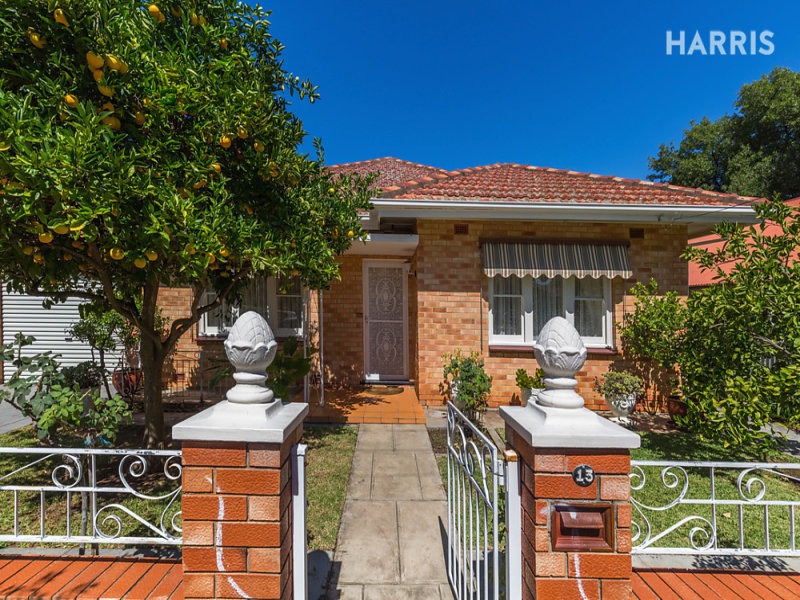 13 Alfred Street, Parkside, SA 5063 - realestate.com.au