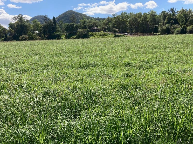 46 Websters Road, Gargett, Qld 4741 - Cropping for Sale - realestate.com.au