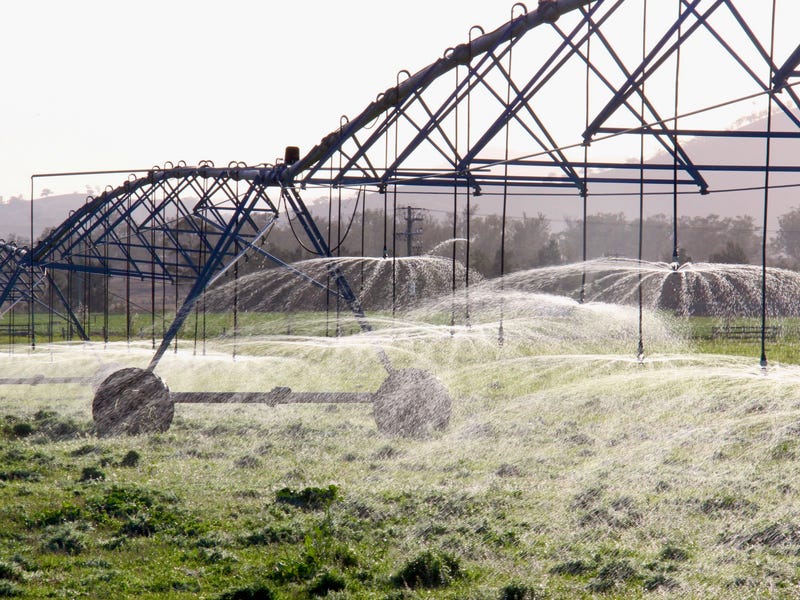 "Wilson" Dartbrook Road, Aberdeen, NSW 2336 - Property Details