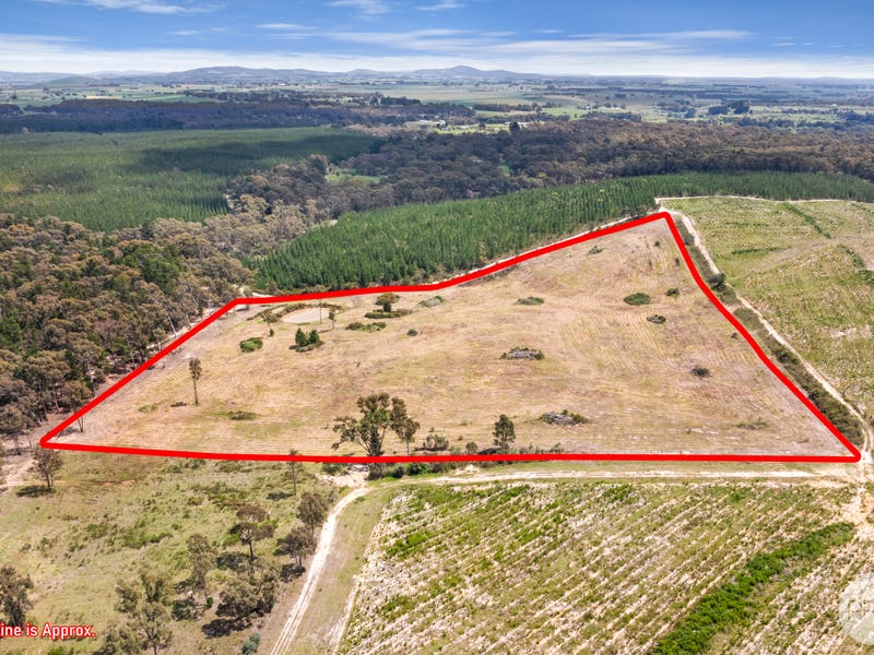 205 Bald Hills Road, Creswick, VIC 3363 - realestate.com.au