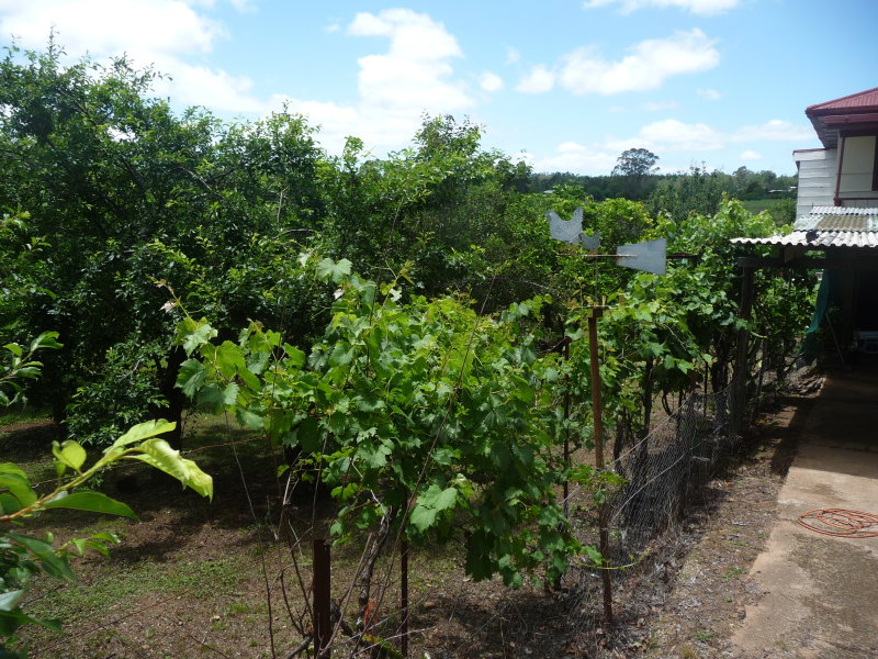 34 Dioth Street, Yarraman, QLD 4614 - realestate.com.au