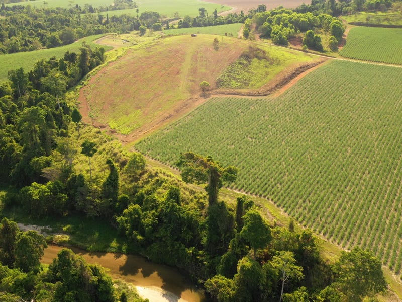 LOT 149 Torrisi Rd, Silkwood, Qld 4856 - Property Details