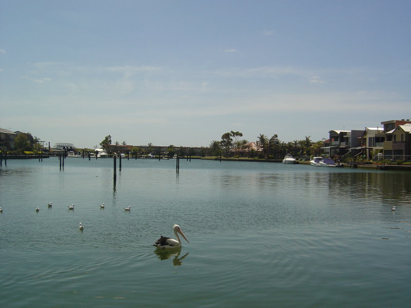 20/5 Thompson Road, Patterson Lakes, VIC 3197 - realestate.com.au