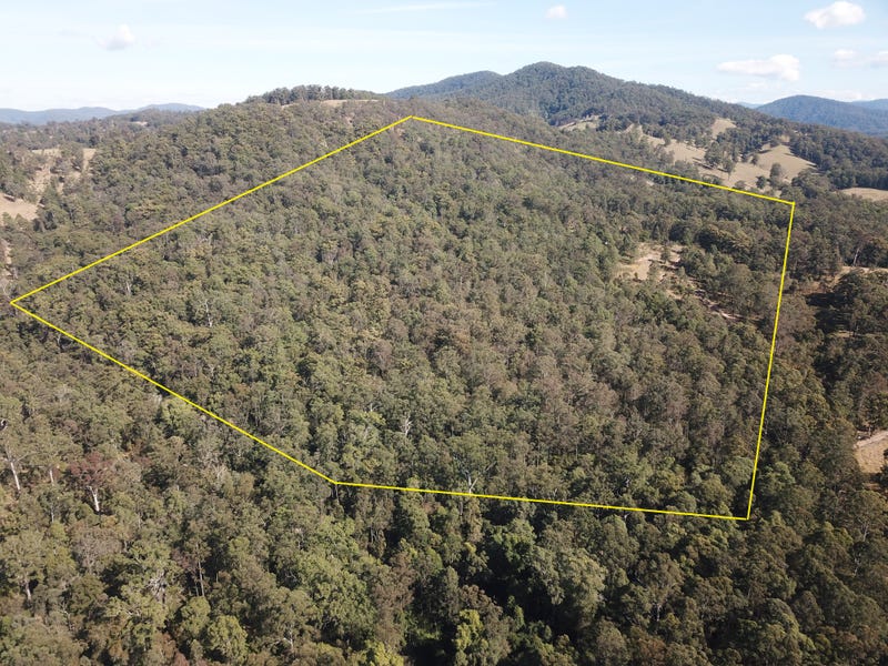 85 Misty Ridge Road, Bellangry, NSW 2446 - Property Details