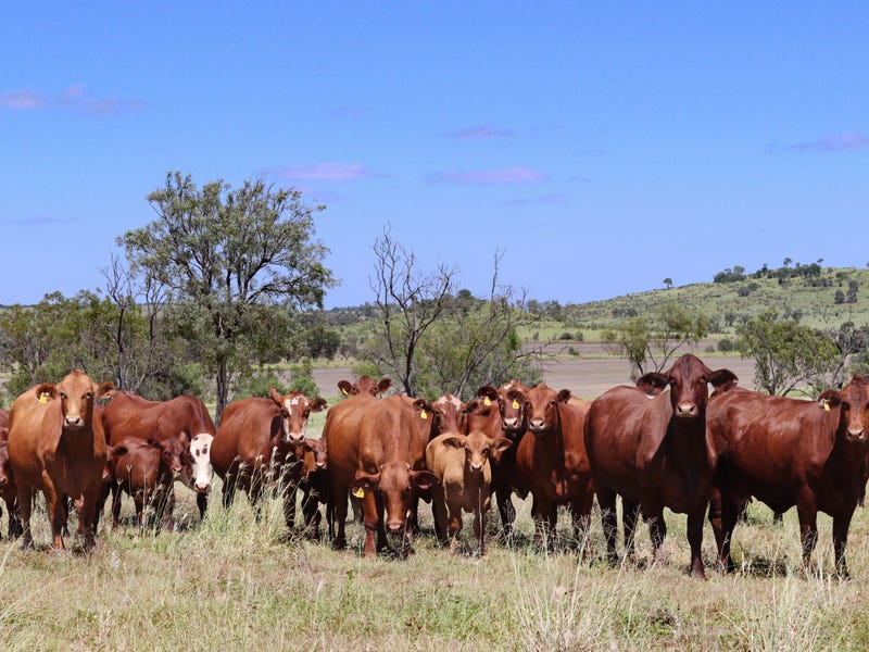 "The Farm" 1282 Semples Road, Thangool, Qld 4716 - Other for Sale ...
