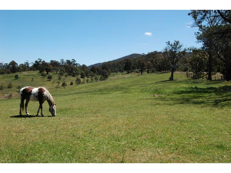 2385 Mount Darragh Road, Wyndham, NSW 2550 - Property Details