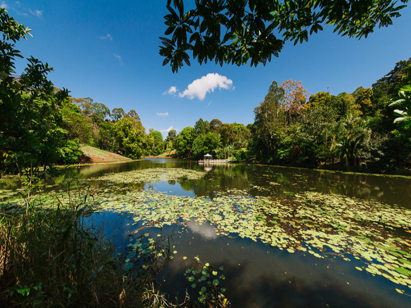 272-274 Flaxton Drive, Flaxton, Qld 4560 - Property Details