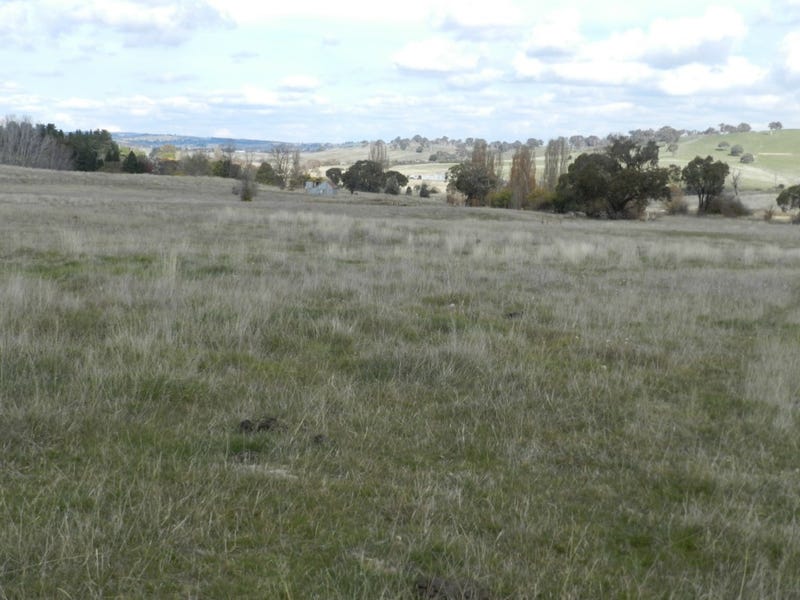 Lot 2 Junction Point Road, Binda, NSW 2583 - Property Details