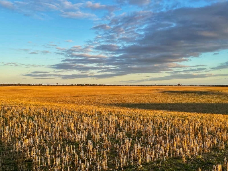 2405 Needilup Road North, Pingrup, WA 6343 - Property Details