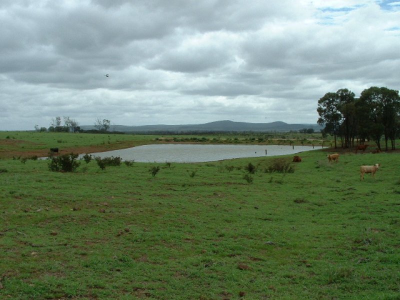 1600 Beeron Road, Mundubbera, Qld 4626 - Property Details