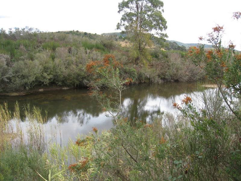 Lot 85 Wyanbene Road, Wyanbene via, Braidwood, NSW 2622 - Property Details