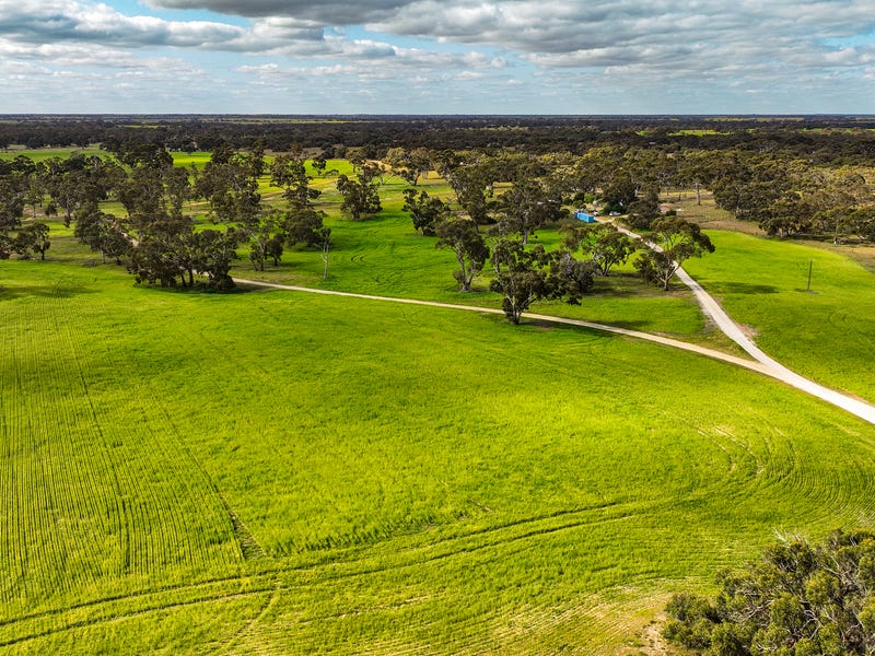 644 Golf Course Road, Bordertown, SA 5268 - Cropping for Sale ...