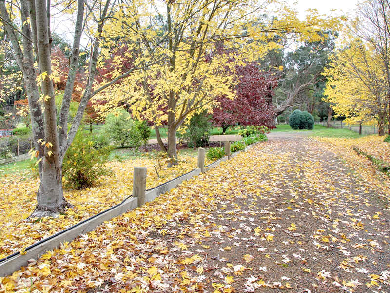 61 Spring Creek Road, Strathbogie, VIC 3666 - realestate.com.au