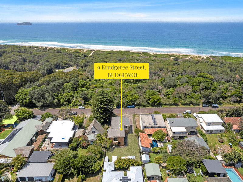 9 Erudgeree Street, Budgewoi, NSW 2262 - Property Details