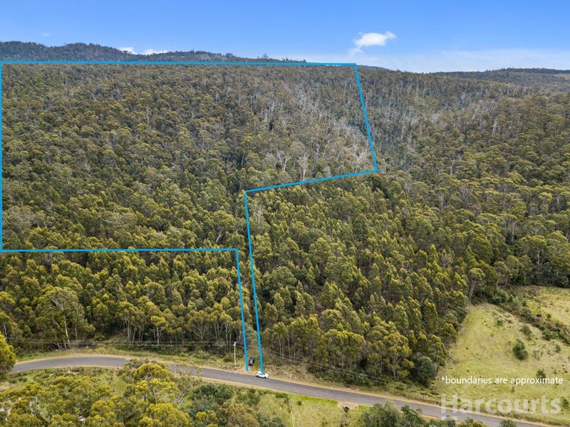 1175 Woodsdale Road, Levendale, TAS 7120 - realestate.com.au