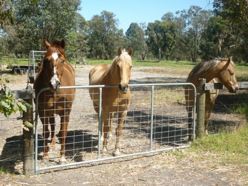 37 Breera Road, Gingin, WA 6503 - Property Details