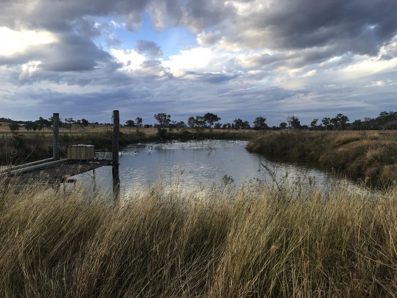 Property 7972754, Rosevale, Qld 4340 - Property Details