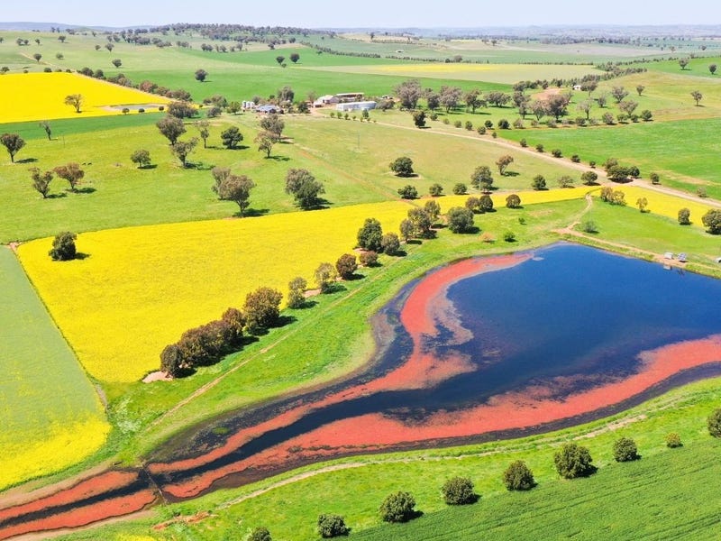 Sold Rural Prices & Auction Results in Cudal, NSW 2864 - realestate.com.au