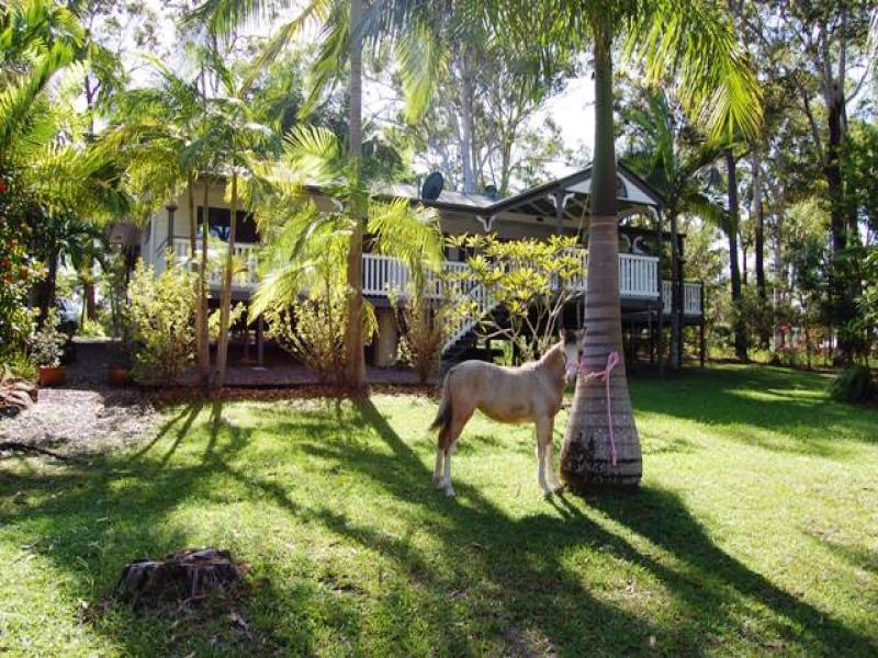 36 Marlock Court, Doonan, QLD 4562 - realestate.com.au