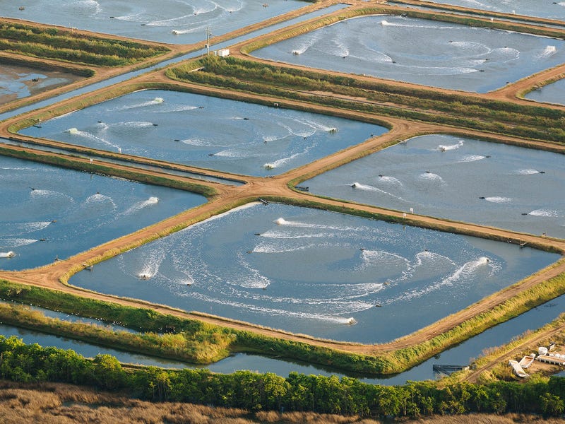 Real Estate & Property for Sale in Ayr, QLD 4807 (+3 locations) Pg. 4 ...