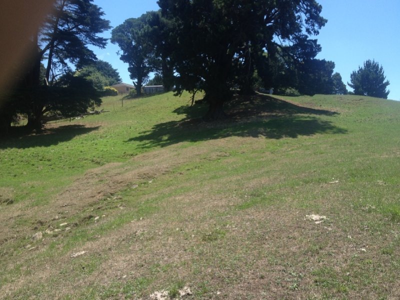 120 McIntosh's Road, Strzelecki, Vic 3950 - Property Details