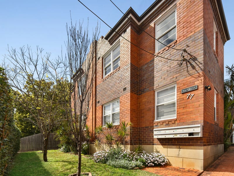 8/77 Alt Street, Ashfield, NSW 2131 - Property Details