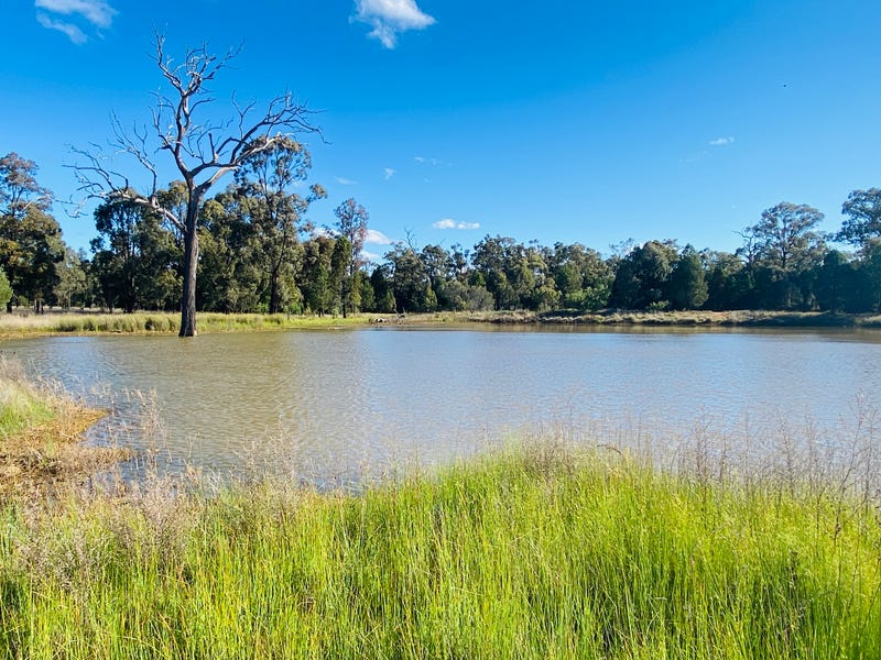 533 Howes Hill Road, Spring Ridge, NSW 2343 - realestate.com.au