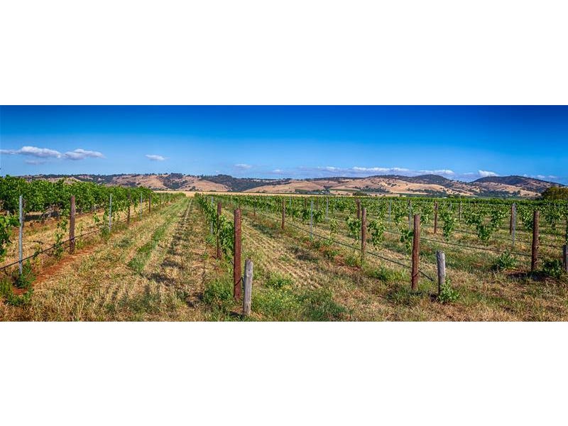 9 Barossa Valley Way, Tanunda, SA 5352 - realestate.com.au