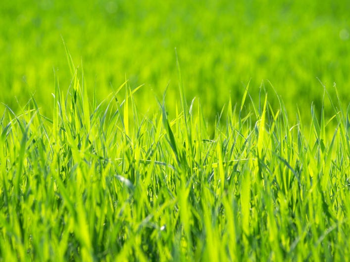 Sold Property Prices & Auction Results in Second Ave, College Park, SA ...