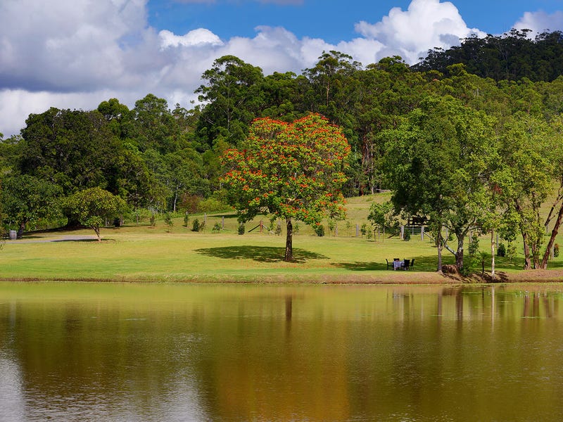 59 Lisa Road, Chevallum, QLD 4555 - realestate.com.au