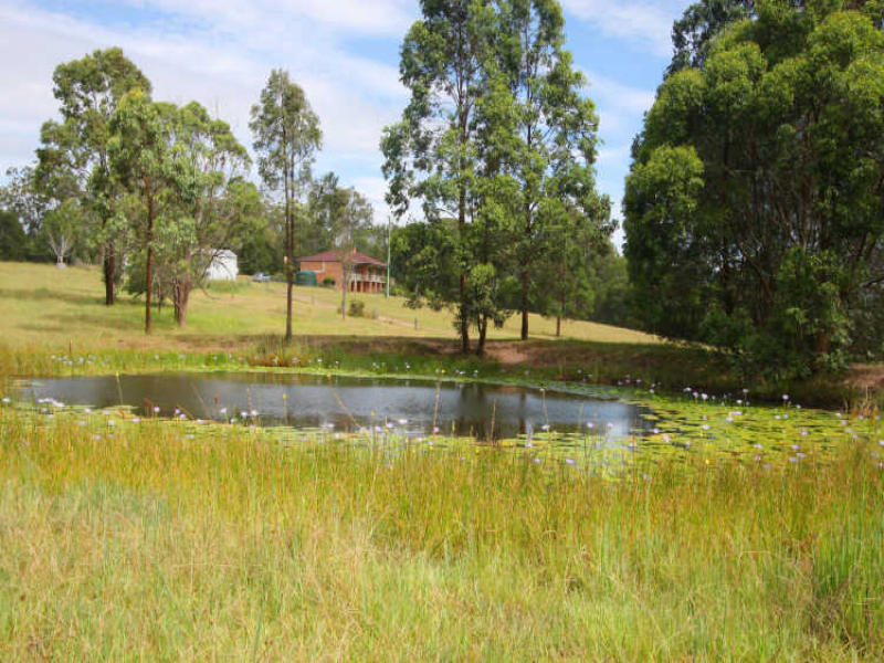 272 James Creek Road, Maclean, NSW 2463 - Property Details