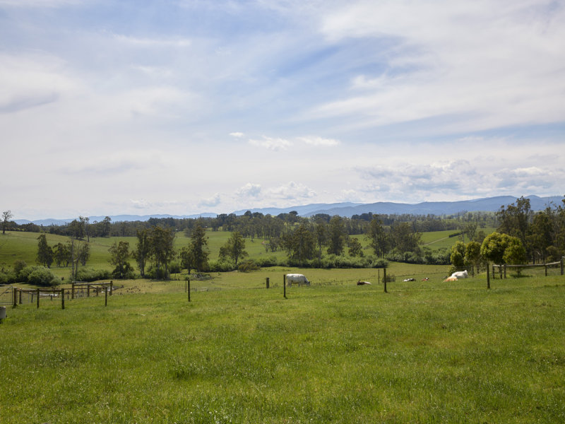 465 Main Neerim Road, Drouin West, VIC 3818 - realestate.com.au