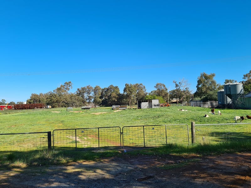 Real Estate & Property for Sale in Bullsbrook, WA 6084 - realestate.com.au