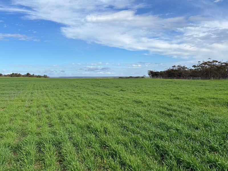 699 Balumbah Hill Road, Solomon, SA 5641 - Property Details