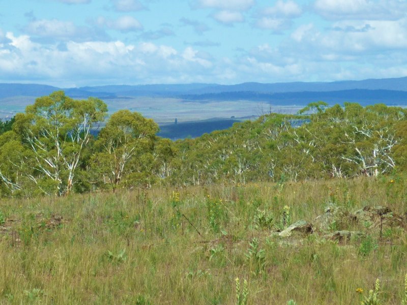 Lot 2 Dry Plains Road, Cooma, NSW 2630 - Property Details