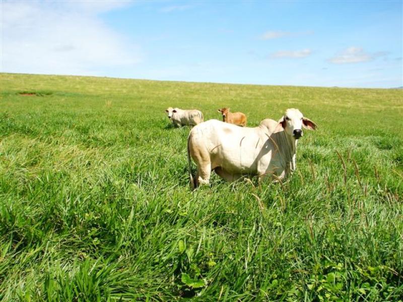 Kureen, Malanda, Qld 4885 - Property Details