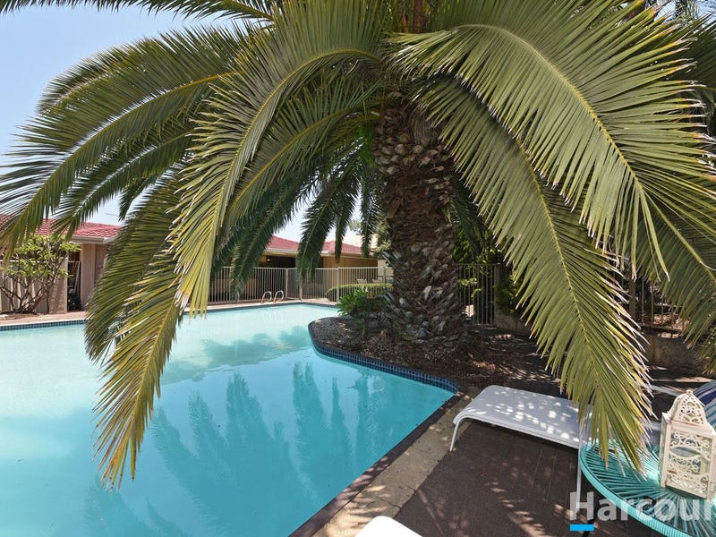 16 Treetop Avenue, Edgewater, WA 6027 - realestate.com.au